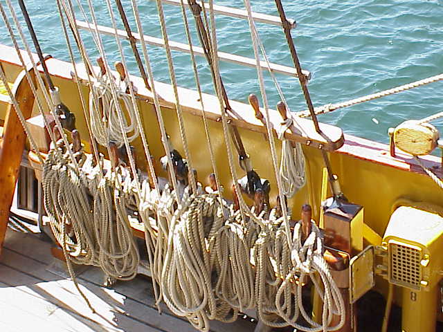 Cascoly Travel -- Tall Ships, Seattle